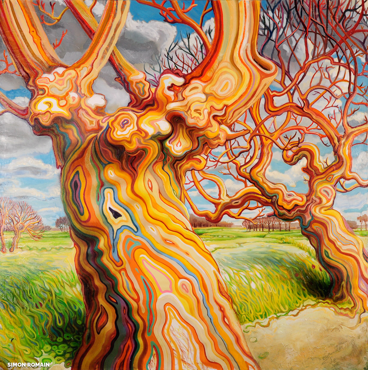 Simon Romain - Nature