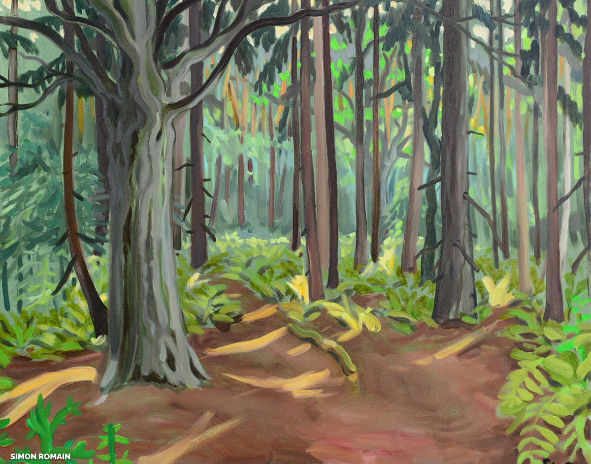 Simon Romain - Nature