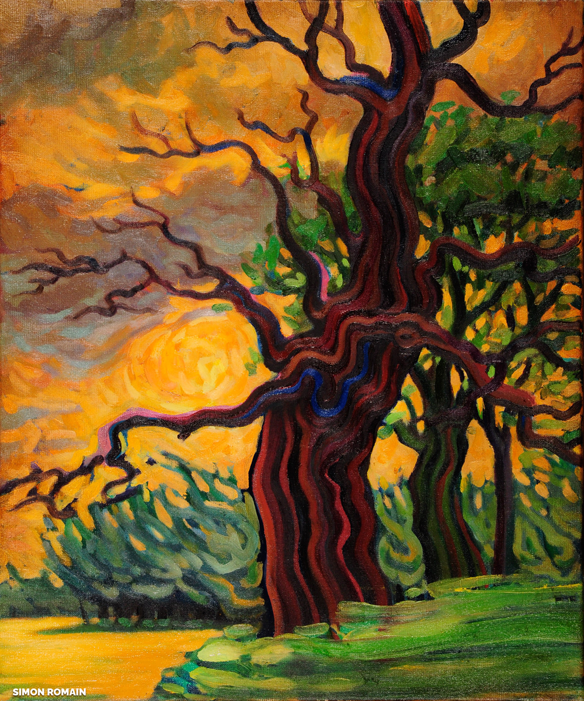Simon Romain - Nature
