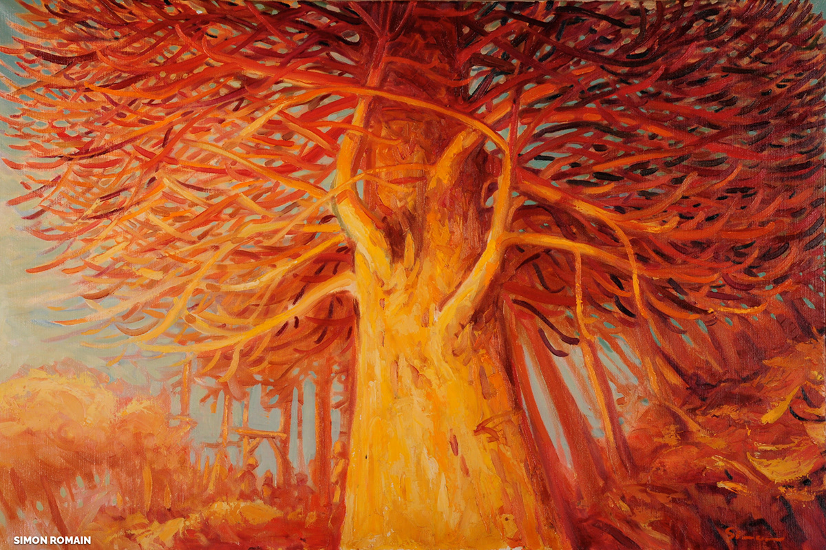 Simon Romain - Nature